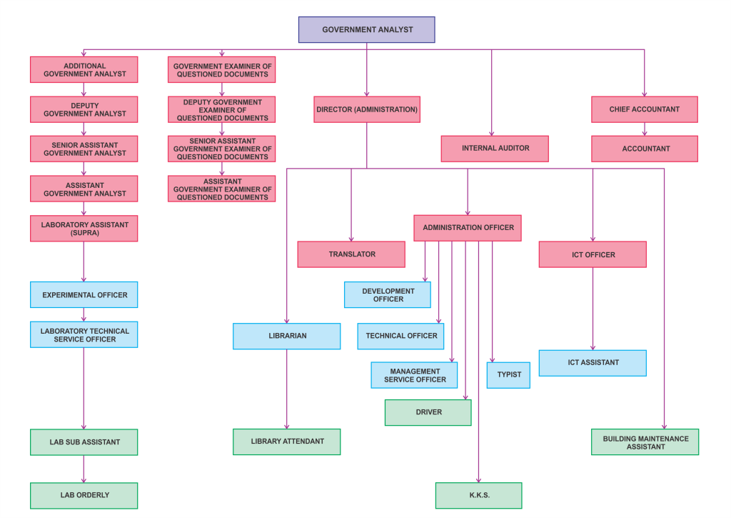 Organizational Structure – Government Analyst's Department